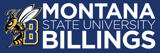 What are Nike.com's shipping options? – Guide